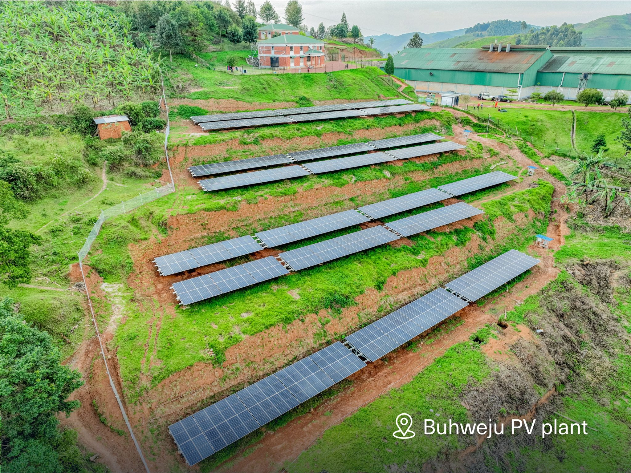 SOLAR ENERGY FOR UGANDAN TEA: EMPOWERING 7000 INDEPENDENT FARMERS - GRIPS